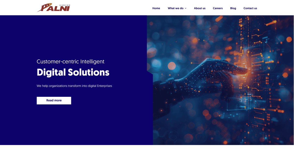 Palni Inc Web Design Case Study | Technology Website by CGAlive